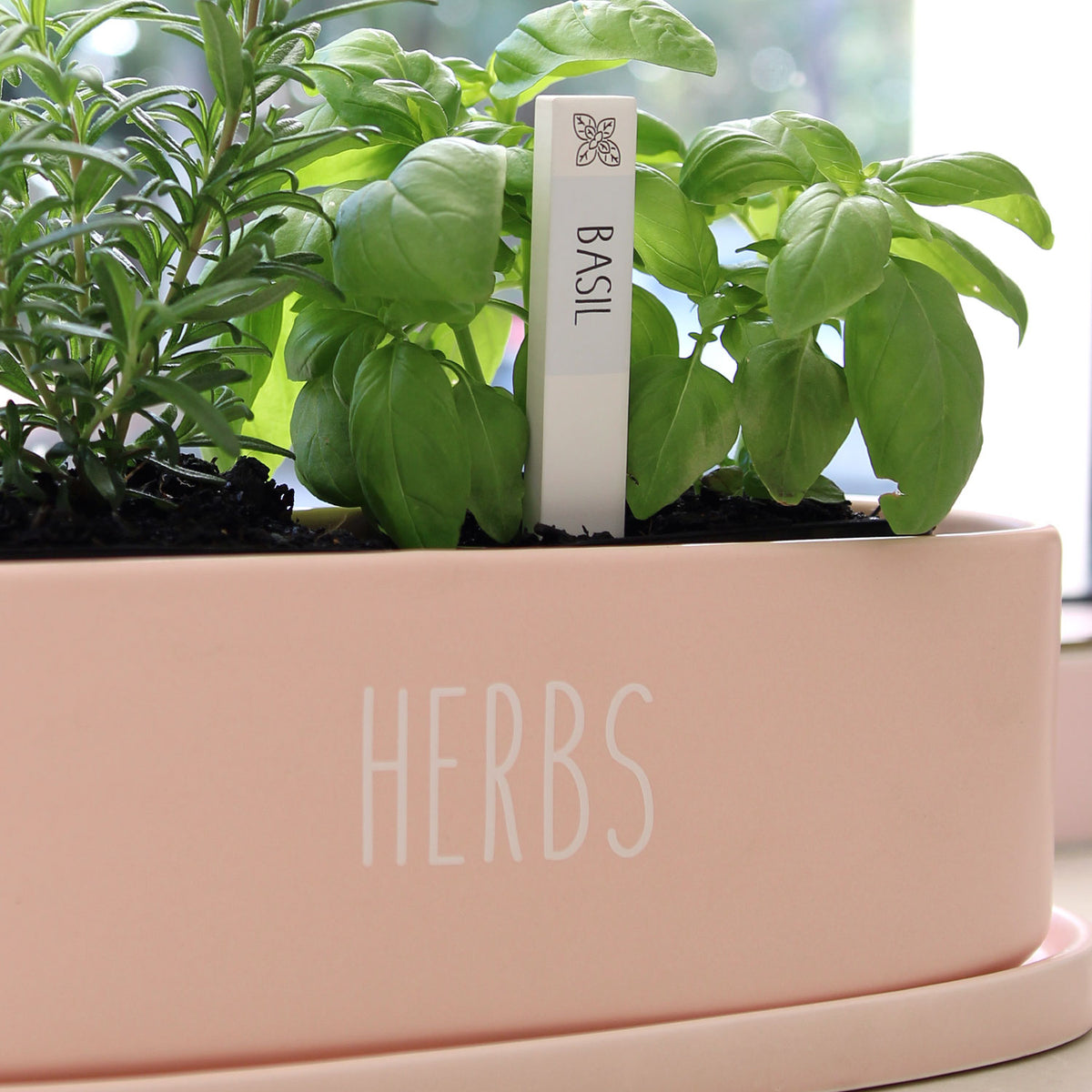 Home Grown Herb Labels - Chives – Embellishgifts